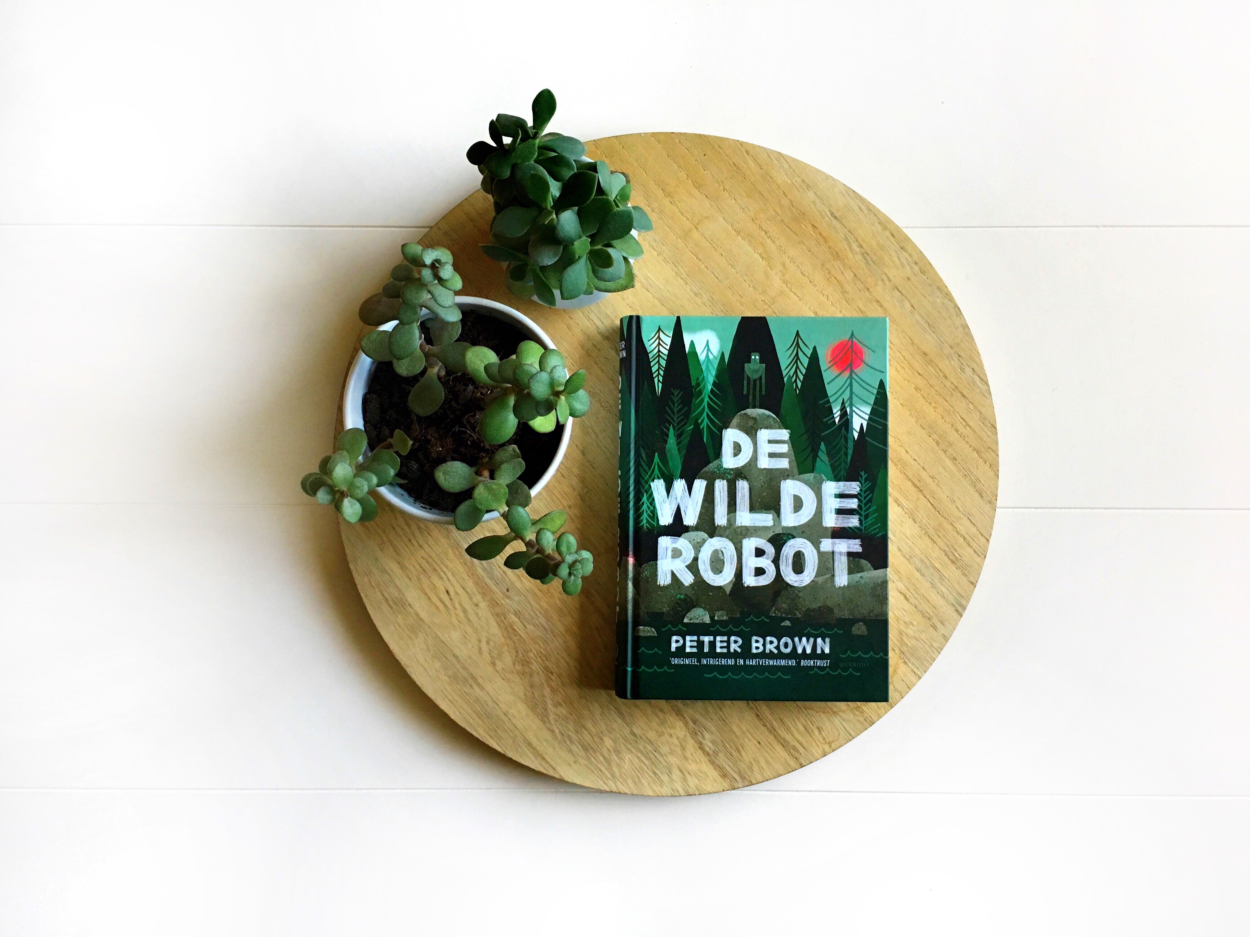 De Wilde Robot - Peter Brown (WINACTIE! - gesloten.) - Books & Macchiatos